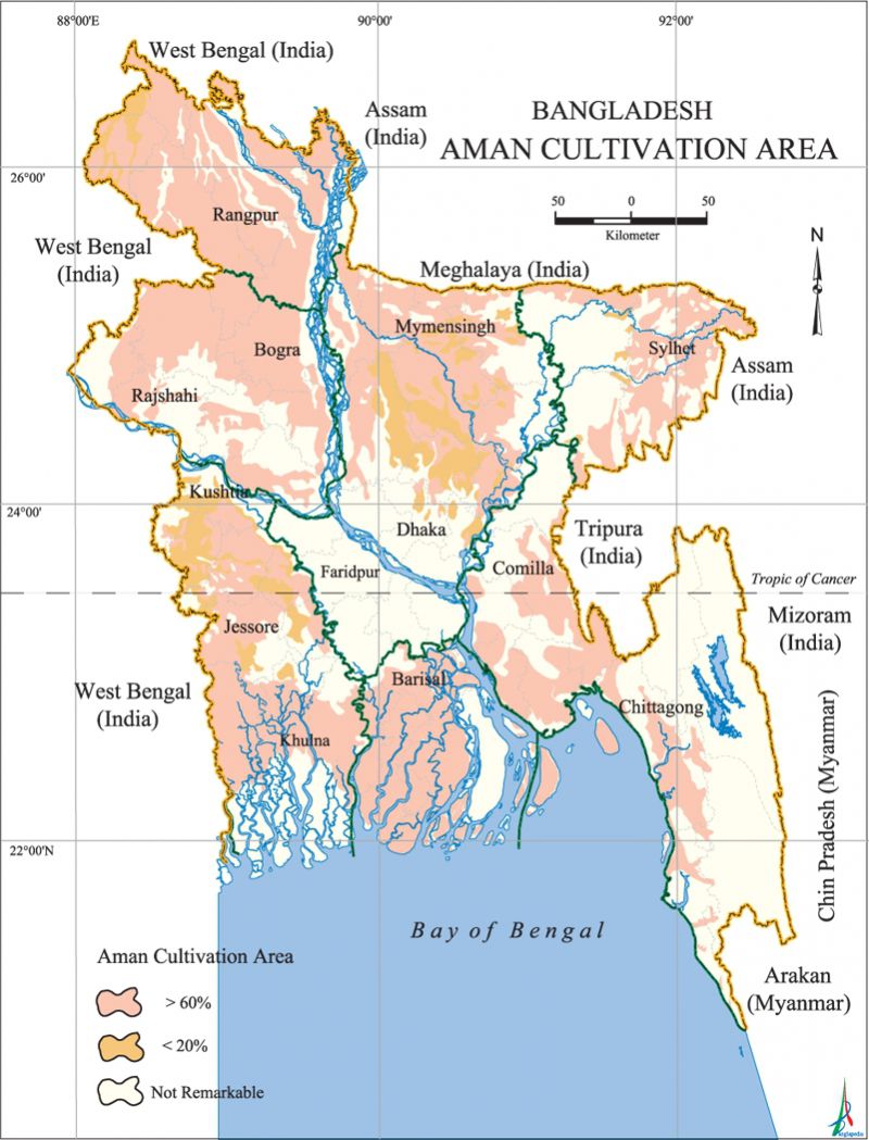 Rice - Banglapedia