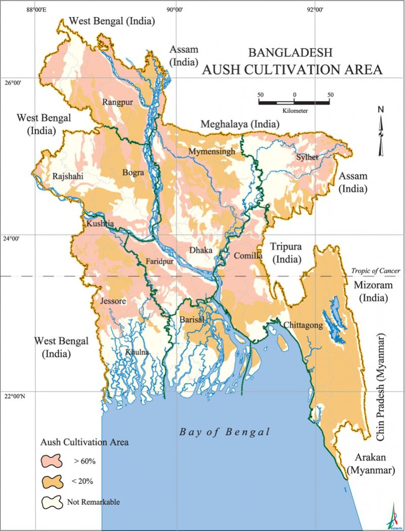 Rice - Banglapedia