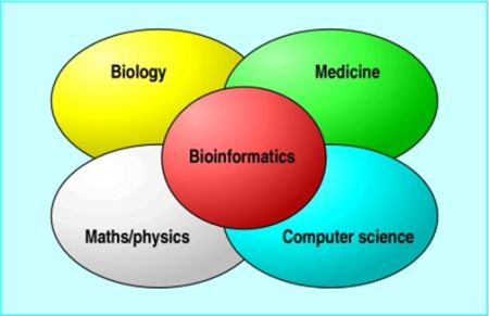Bioinformatics - Banglapedia